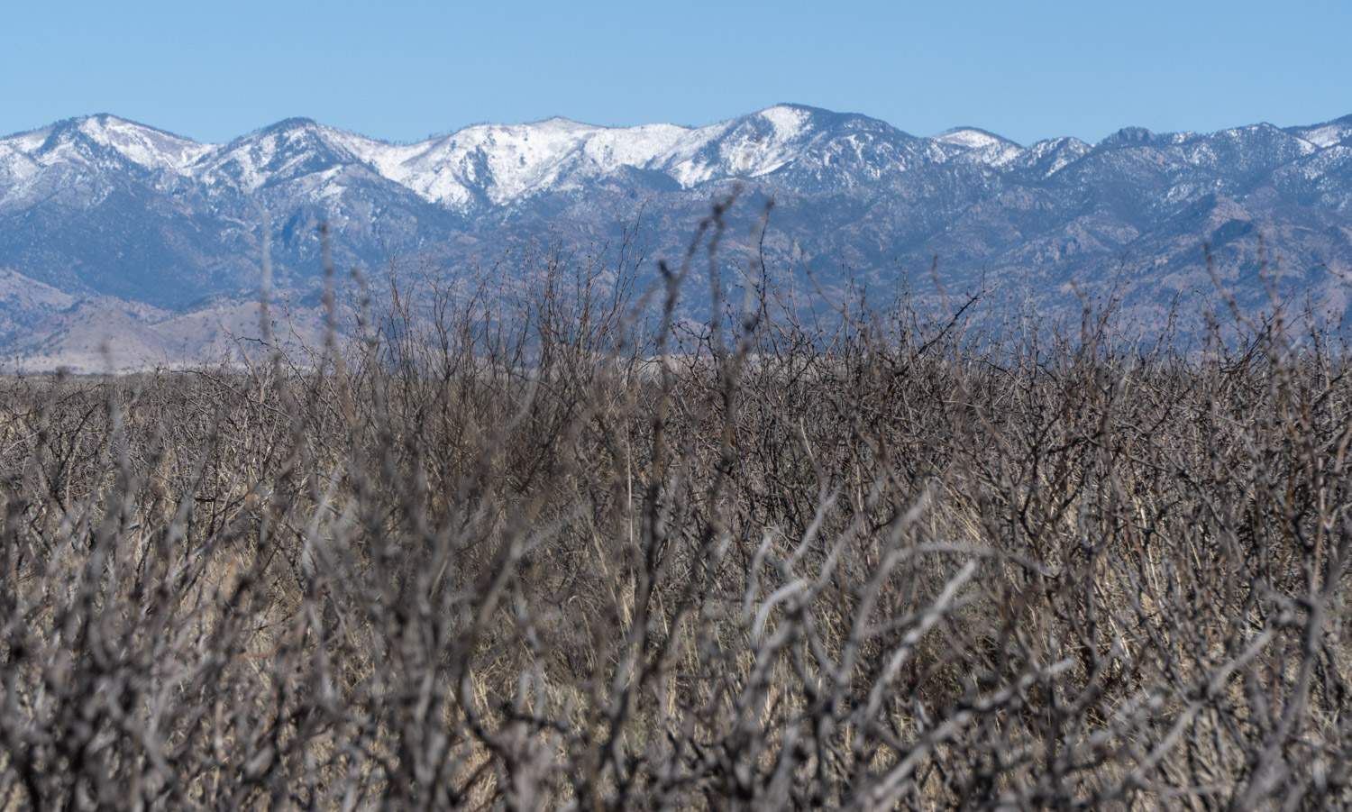 Living In Pearce AZ – 85625 – Courtney Adcock